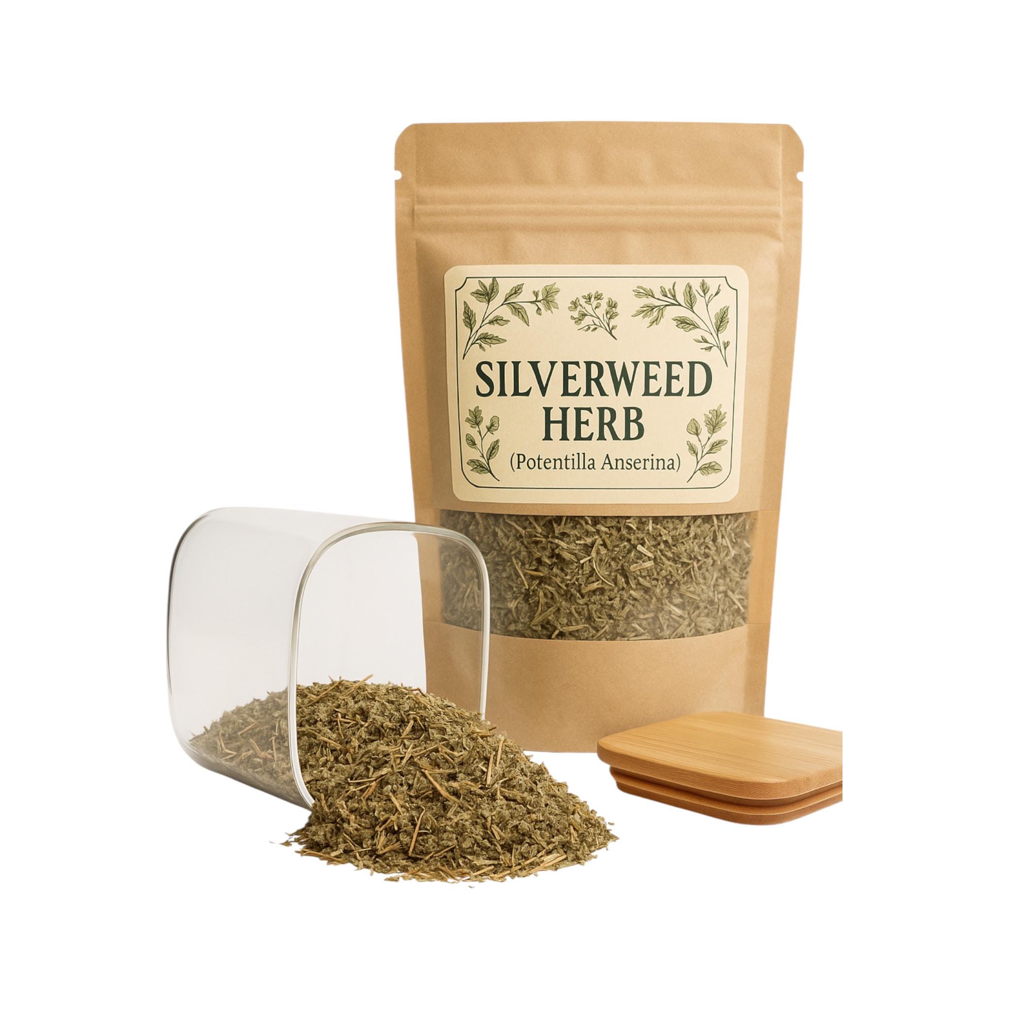 Silverweed Herb | Potentilla Anserine | Anserinae Herba| Herbal | Loose ...