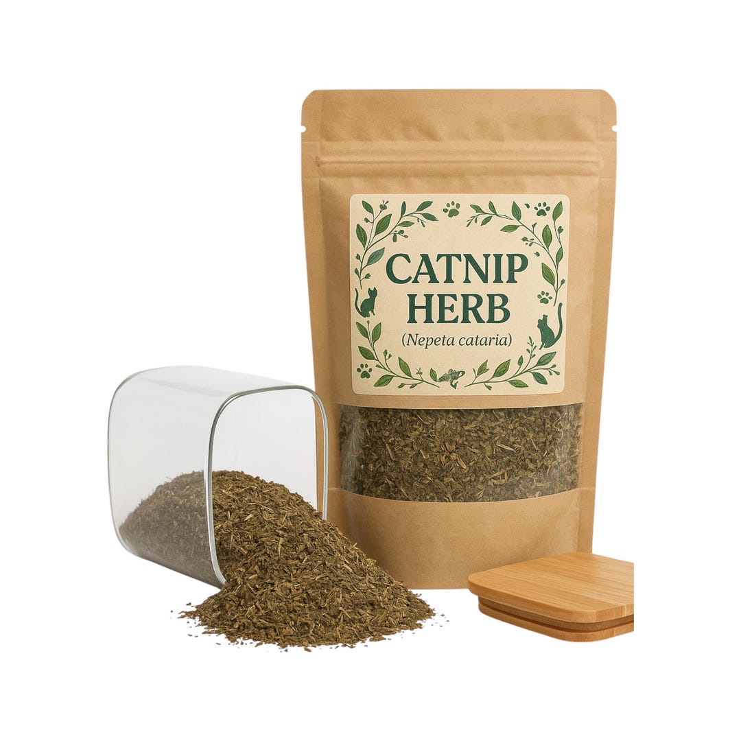Catnip | Catnip Leaf | Nepeta Cataria| Herbal | Loose | Herb | Fresh ...