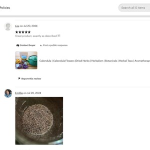 Life Everlasting Flowers | Life Everlasting Tea |helichrysum Stoechas ...