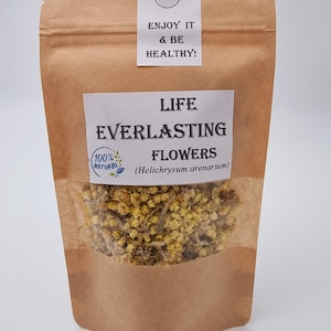Life Everlasting Flowers | Life Everlasting Tea |helichrysum Stoechas ...