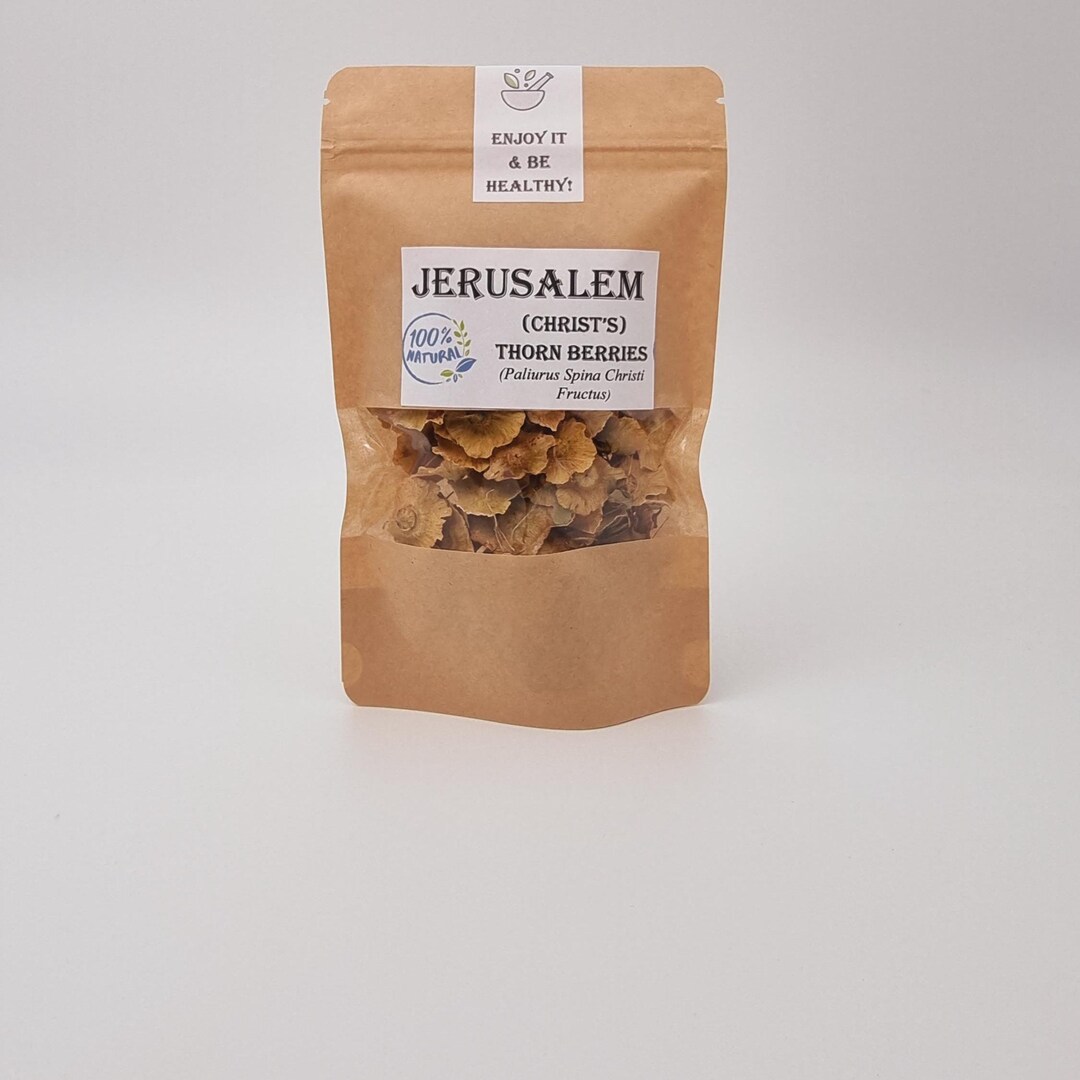 Jerusalem Thorn Berries | Paliurus Spina Christi Fructus| Herbal ...