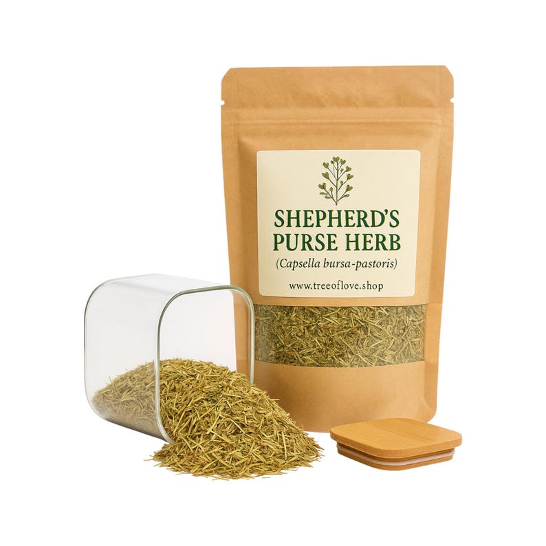 Shepherd's Purse | Shepherd's Purse Tea (capsella Bursa-pastoris ...