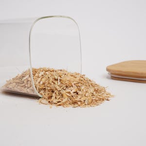 COMMON BEAN Pods | Bean Pods | Bean Pods | Phaseolus Vulgaris L ...