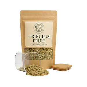 Tribulus Terrestris Fruit | Tribulus Fruit Only | Caltrop Dried Fruits ...