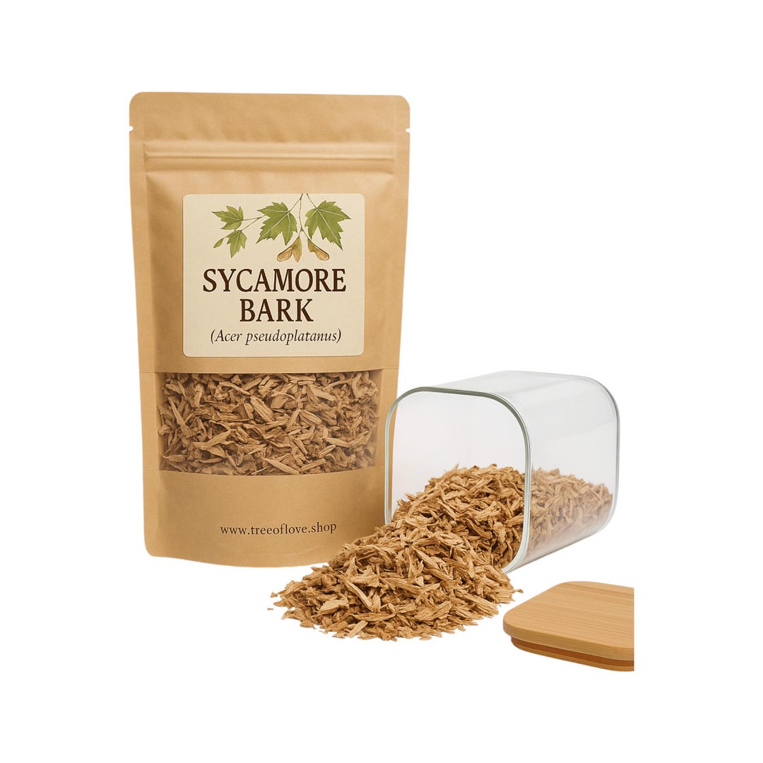 Sycamore Bark | Acer Pseudoplatanus | Tea | Herb | Better Than Organic ...