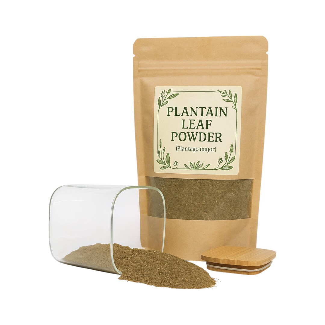 Plantain Leaf Powder | Plantago Major| Herbal | Loose | Herb | Fresh ...