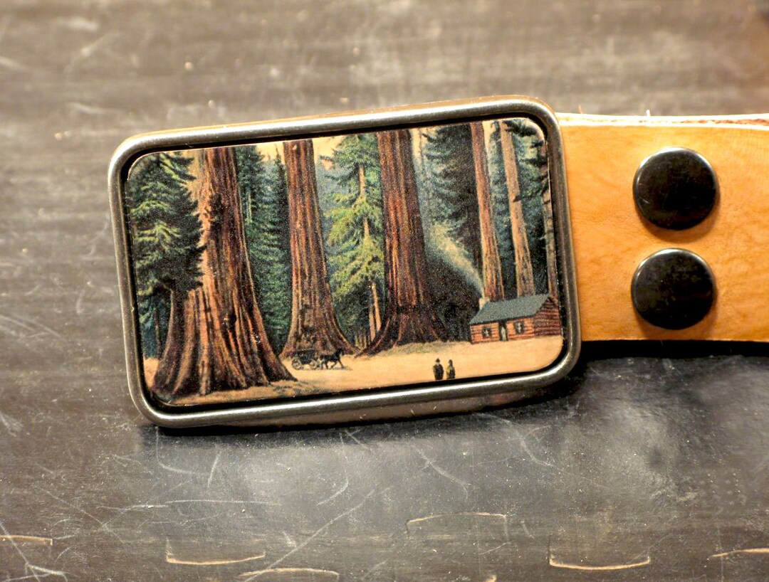 Tree Belt Buckle - Interchangeable Belt - Leather - Belt for Men - Belt ...