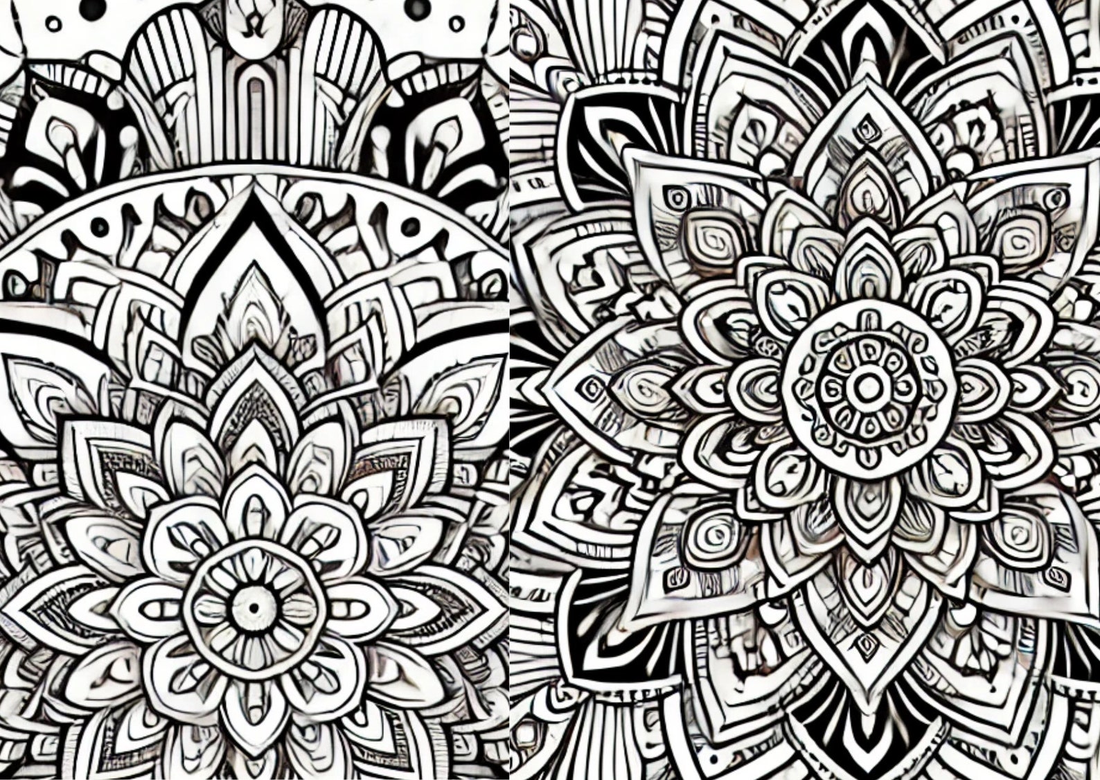 DOUBLE MANDALA Coloring Page - Etsy
