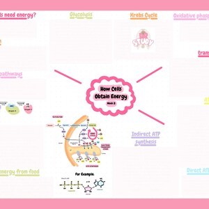 Cell Biology - STUDY SUMMARY SHEETS - Etsy