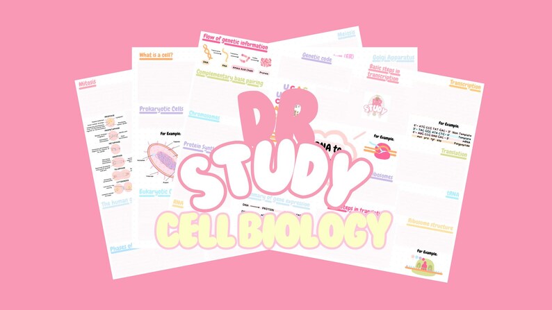 Cell Biology - STUDY SUMMARY SHEETS - Etsy