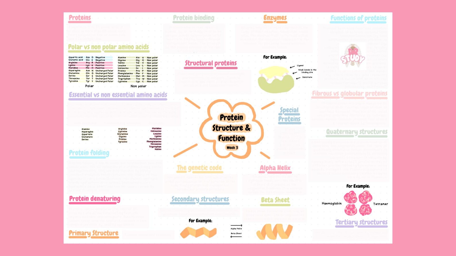 Cell Biology - STUDY SUMMARY SHEETS - Etsy