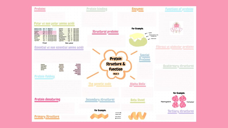 Cell Biology - STUDY SUMMARY SHEETS - Etsy