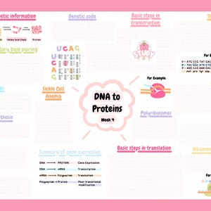 Cell Biology - STUDY SUMMARY SHEETS - Etsy