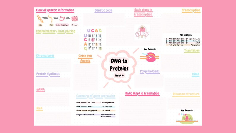 Cell Biology - STUDY SUMMARY SHEETS - Etsy