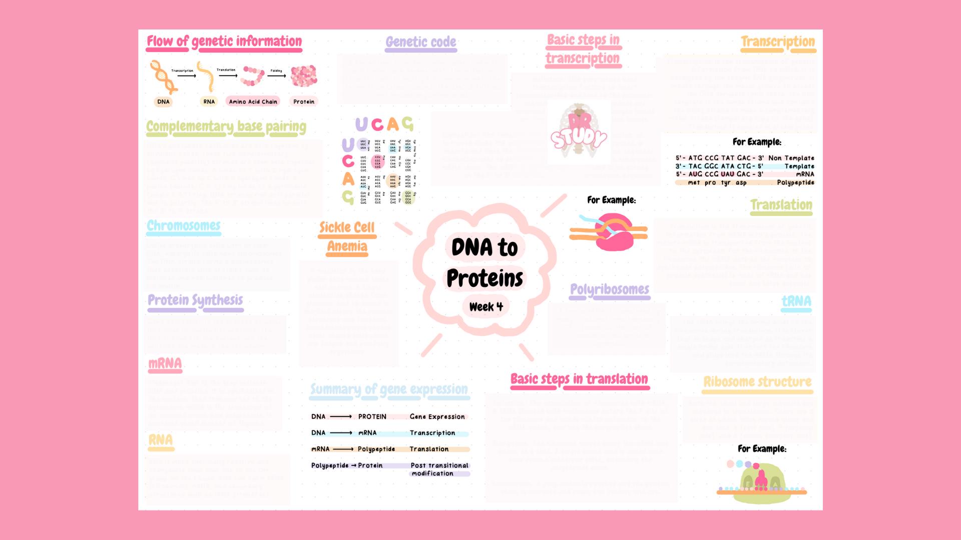 Cell Biology - STUDY SUMMARY SHEETS - Etsy