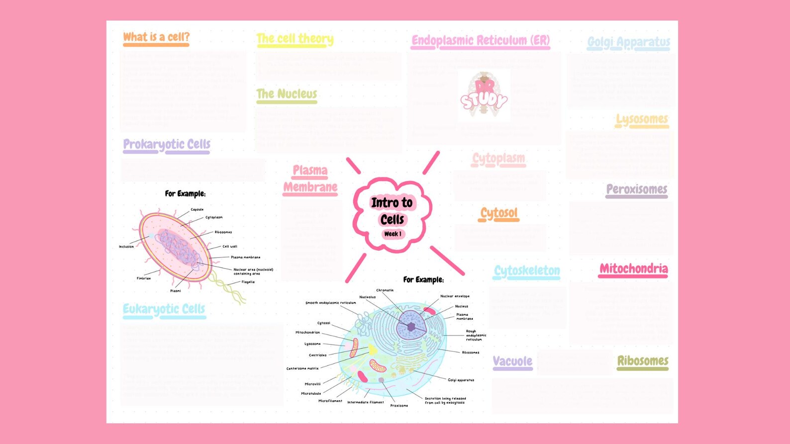 Cell Biology - STUDY SUMMARY SHEETS - Etsy