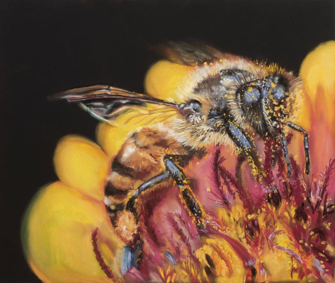 Flower Flare, Pastel Bee Drawing of a Honey Bee on Yellow Flower Petals ...