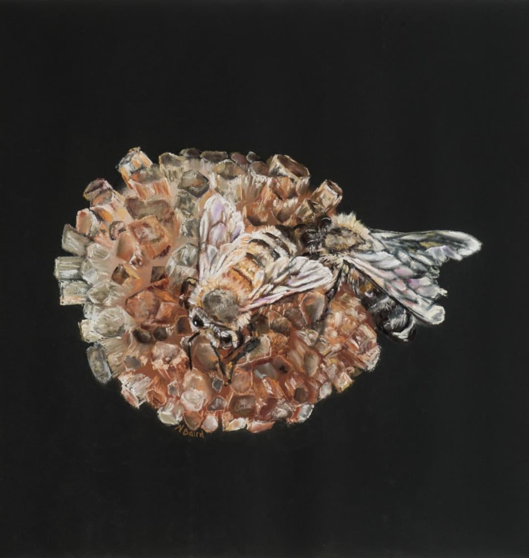 Aragonite Shuffle, Pastel Bee Drawing of 2 Bee on a Crystal, Art Print ...