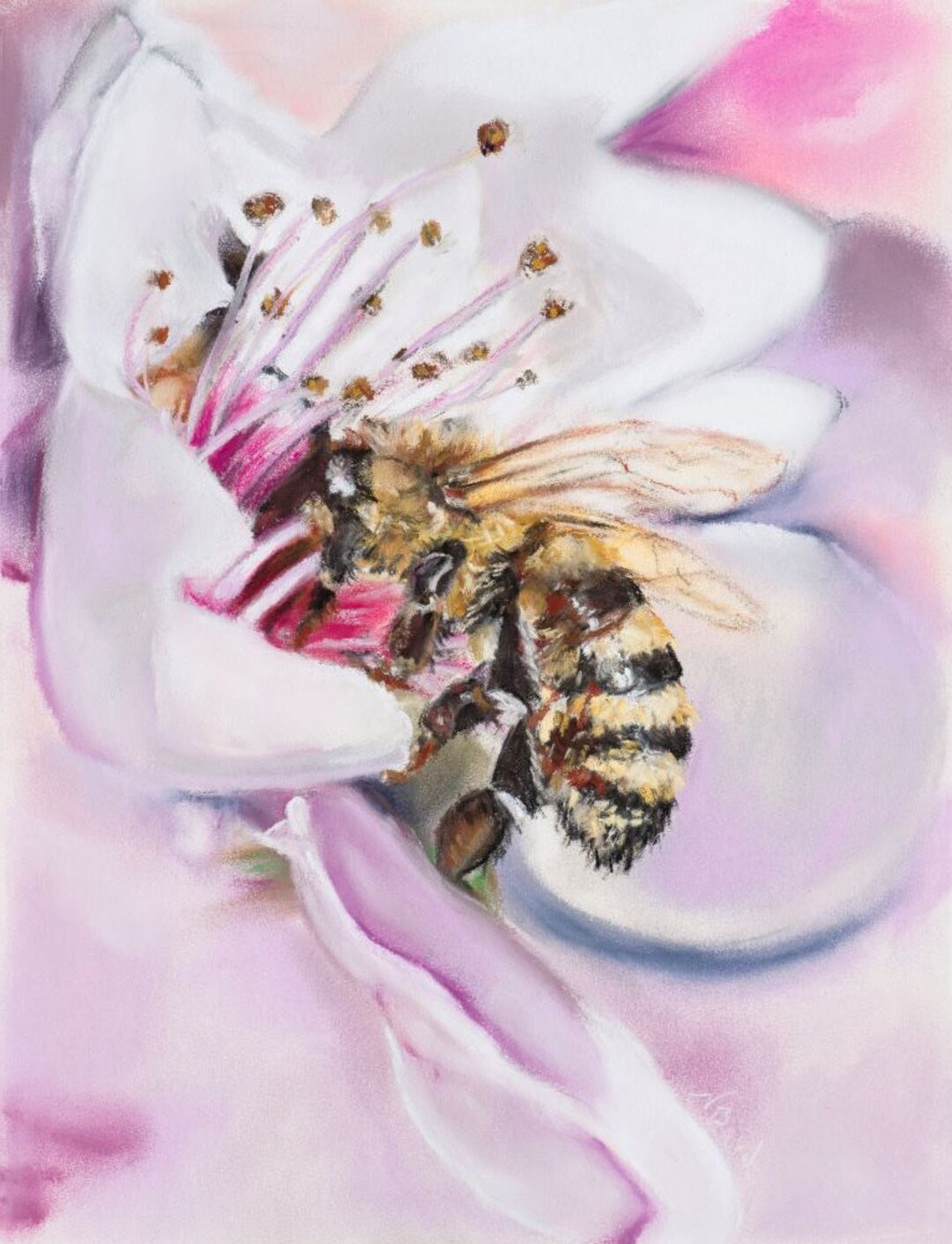 Petals on the Path, Pastel Bee Drawing of a Honey Bee on Soft White ...
