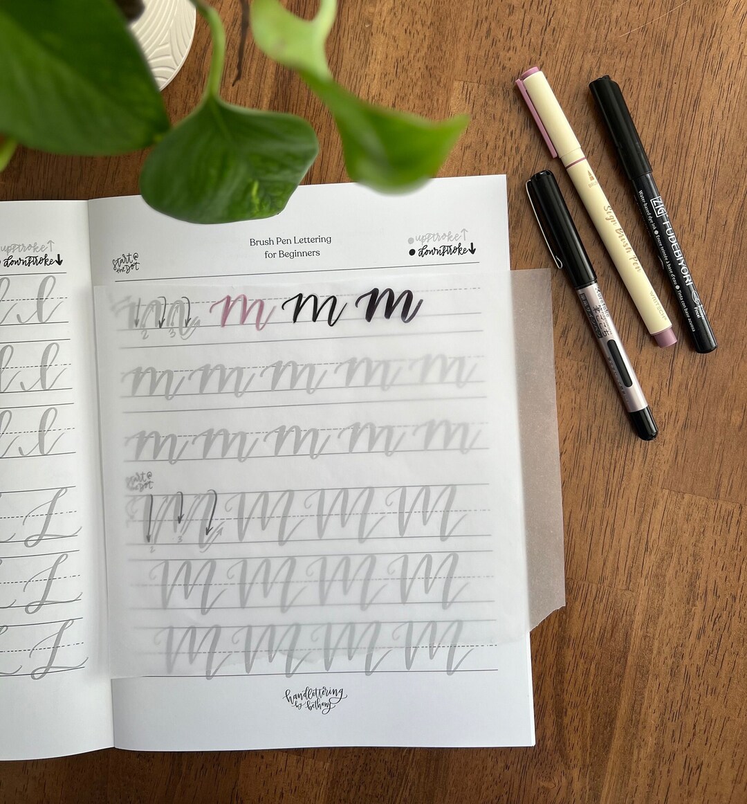 Brush Pen Lettering for Beginners Workbook Learn Calligraphy, Brush Pen ...