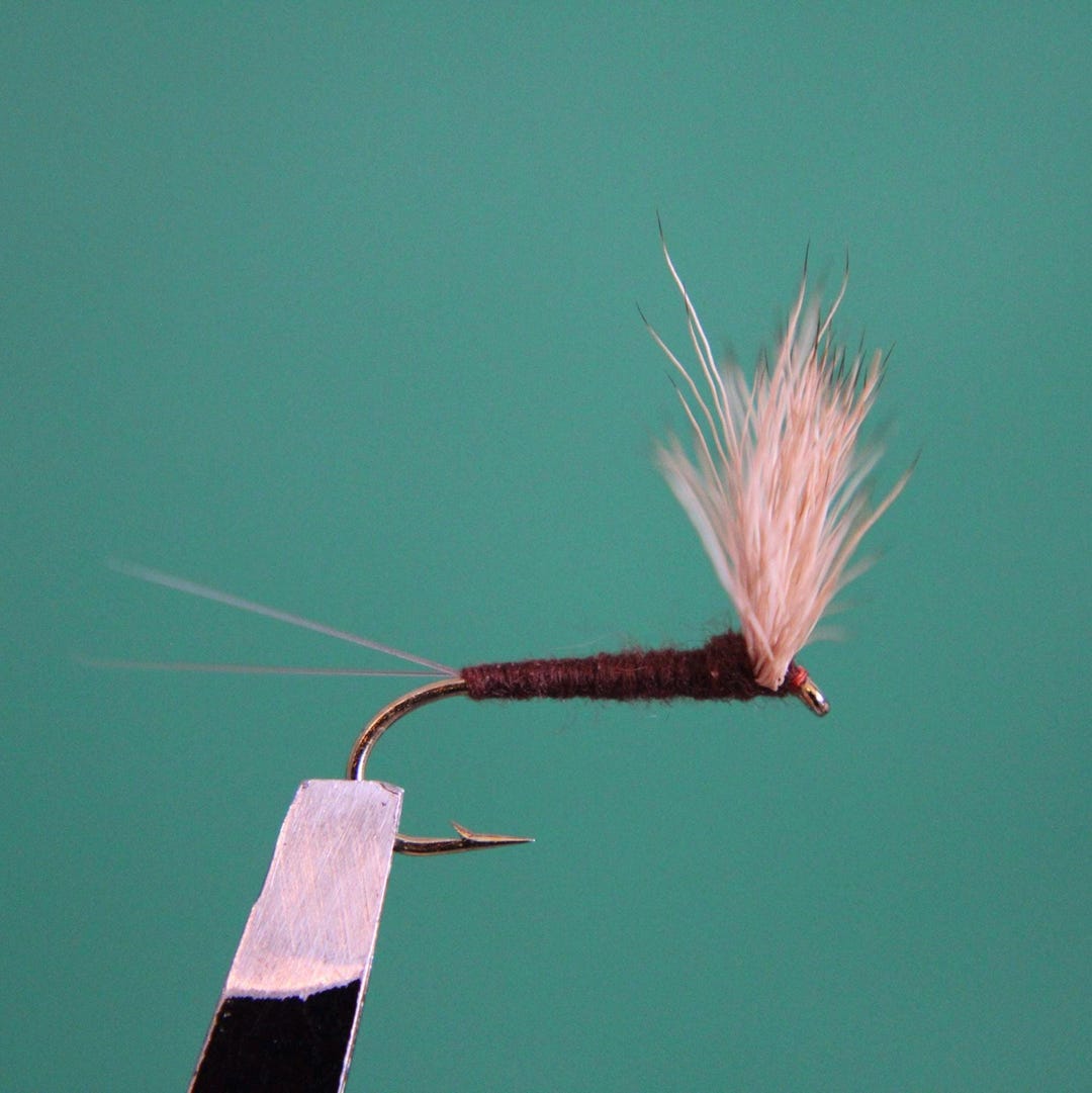 3-pack, Isonychia Comparadun Dry Fly - Etsy