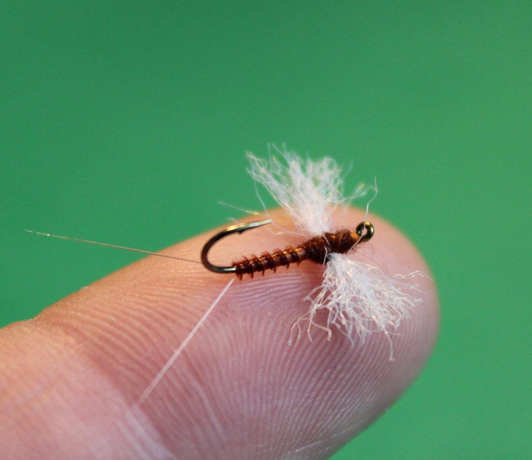 3-pack, Rusty Spinner Dry Fly - Fly Fishing Trout Flies - Etsy