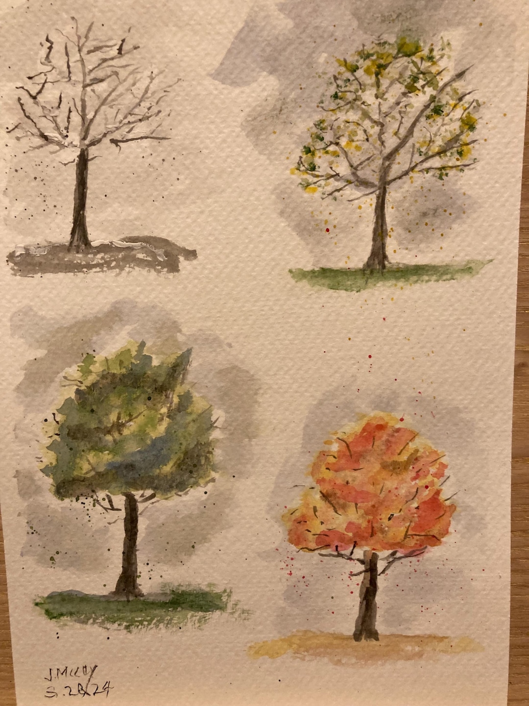 1 Tree, 4 Seasons - Etsy