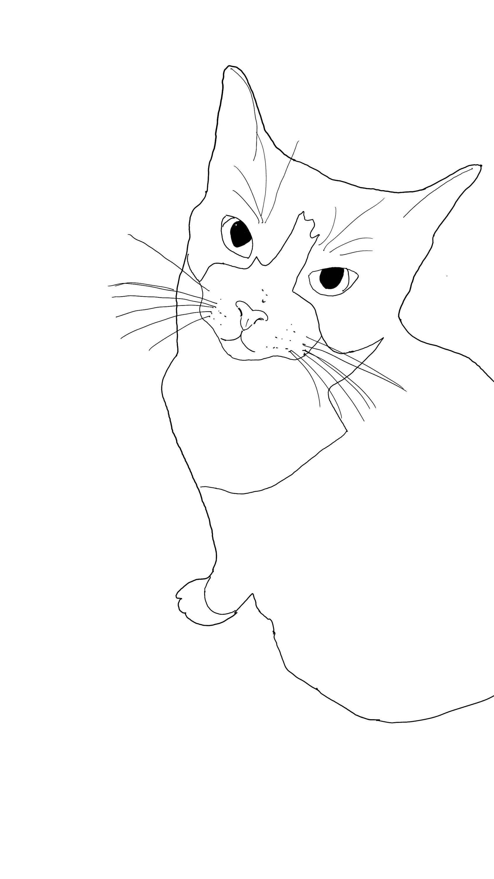Personalised Digital Line Drawing for Download, Minimalist, Wall Art ...