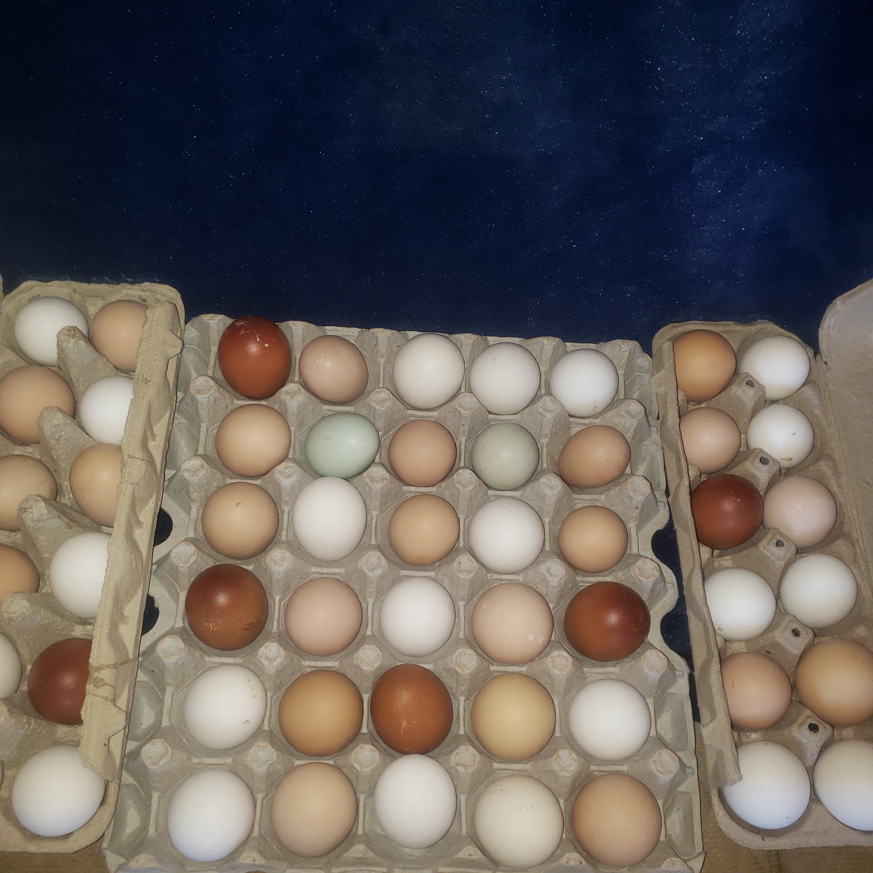 Fresh Farm Eggs - Etsy