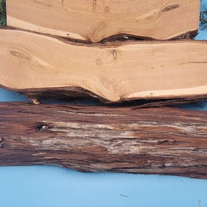 Cedar Half-log Live Edge Piece for Crafts, Engraving, Rustic Décor ...