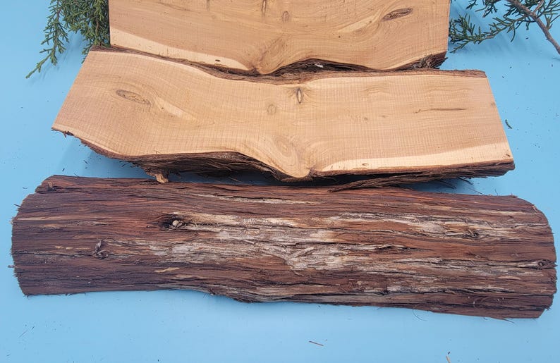 Cedar Half-log Live Edge Piece for Crafts, Engraving, Rustic Décor ...