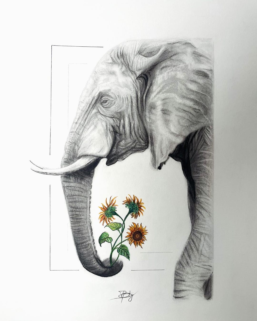 Elephant and Sunflowers, Drawing, Art - Etsy