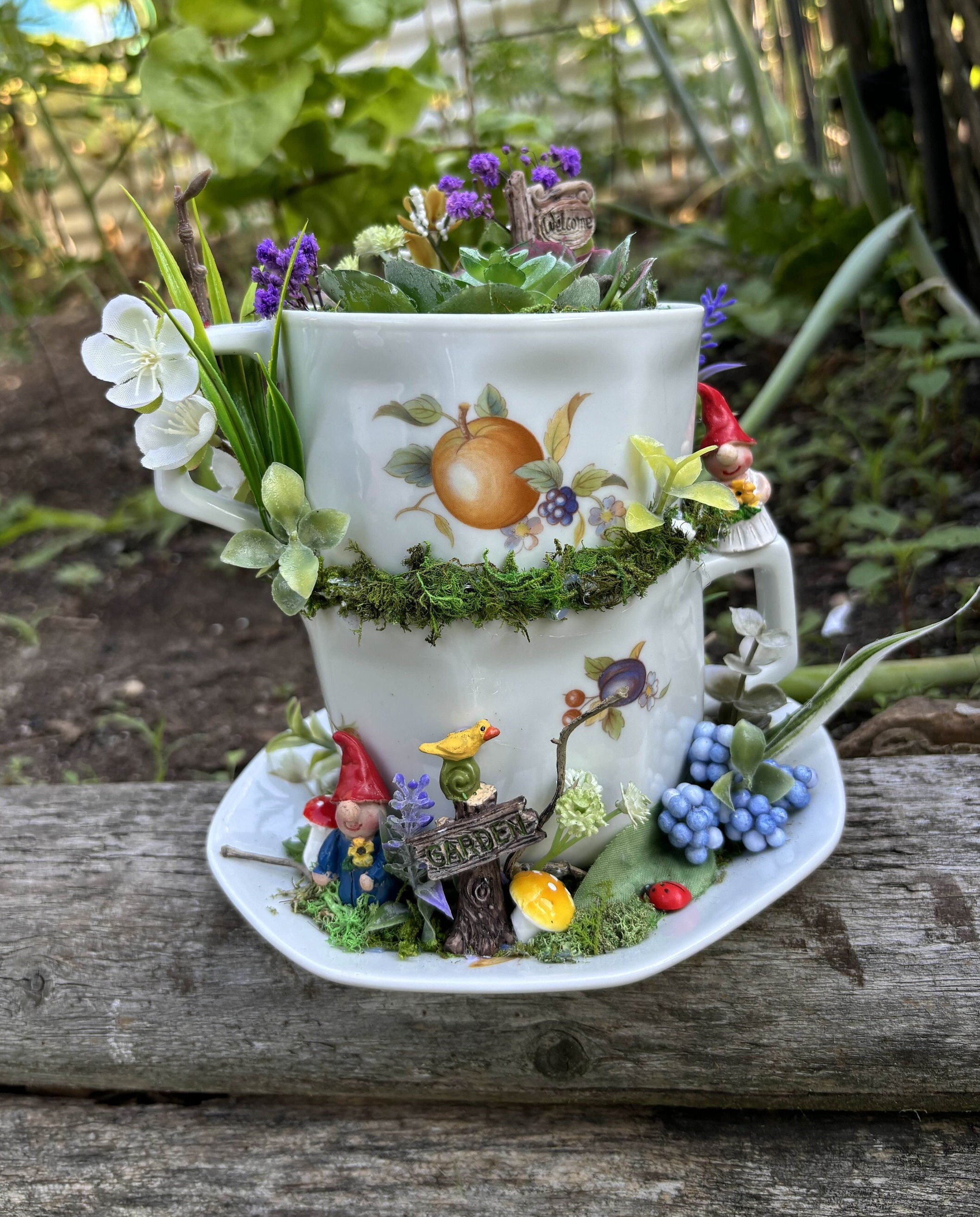 Teacup Terrarium - Etsy