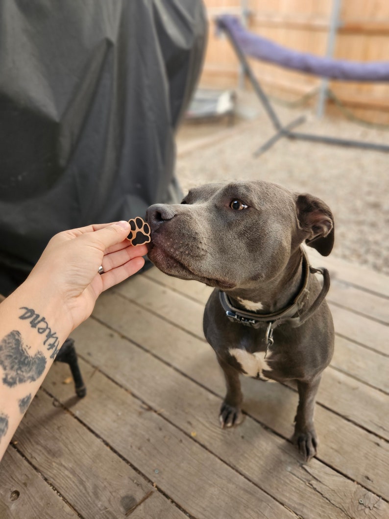 Sticker Laptop Paw for Tumblers and Schoolbooks Decal Back to School ...