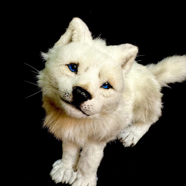 Wolf Artdoll - Etsy