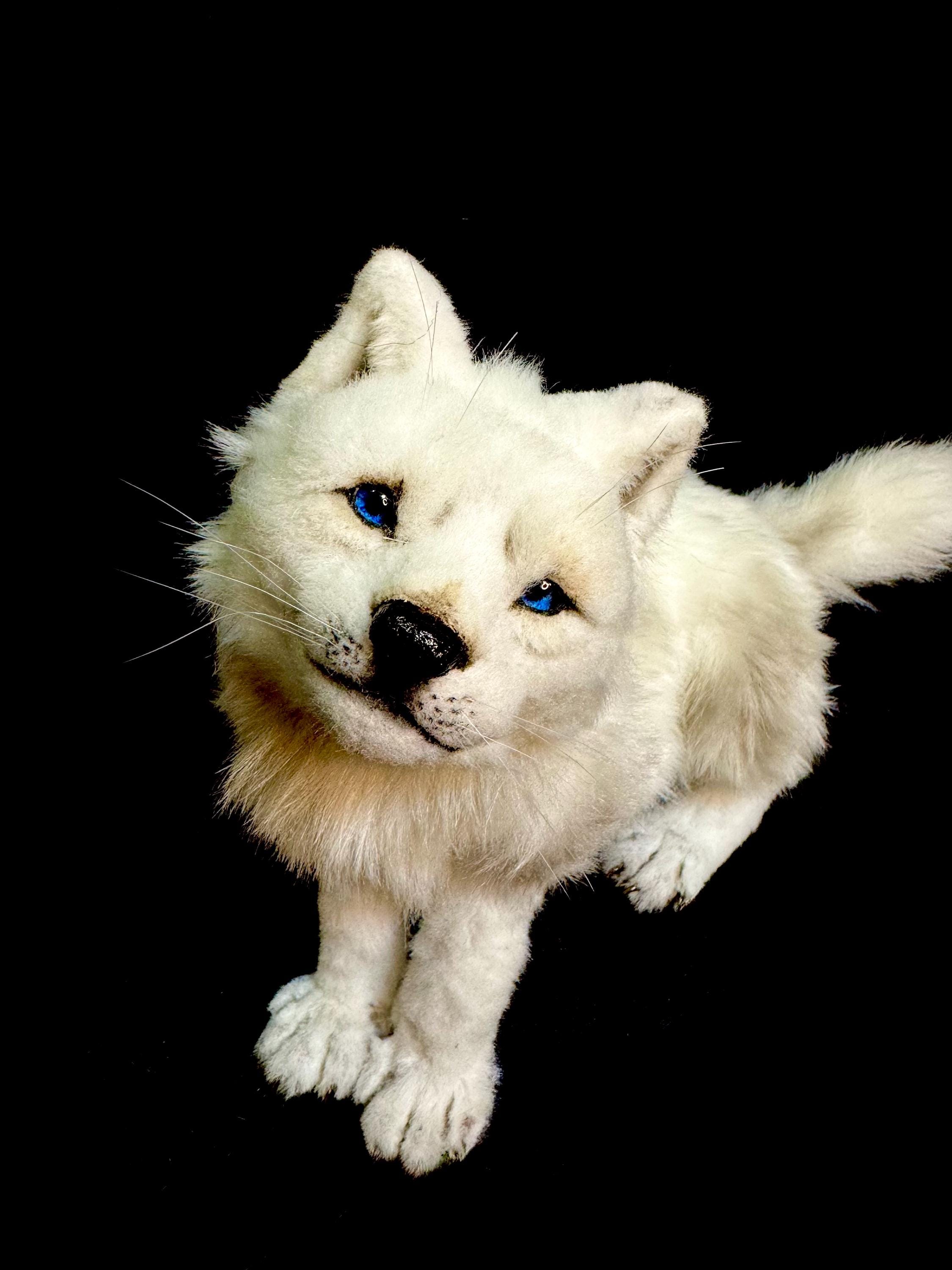 IN STOCK Arctic Wolf Cub Baby Poseable Art Doll Realistic Toy Miniature ...