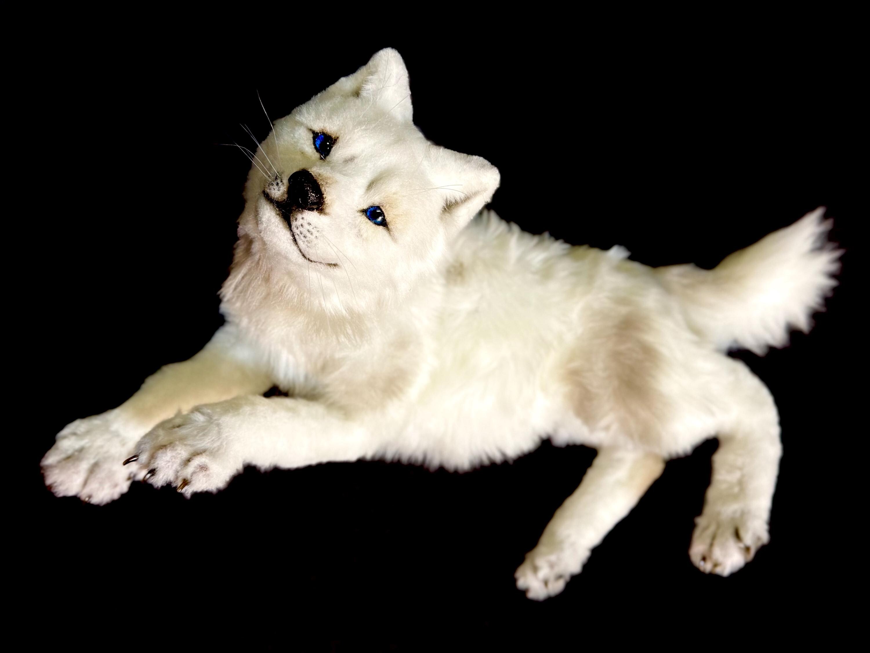 IN STOCK Arctic Wolf Cub Baby Poseable Art Doll Realistic Toy Miniature ...