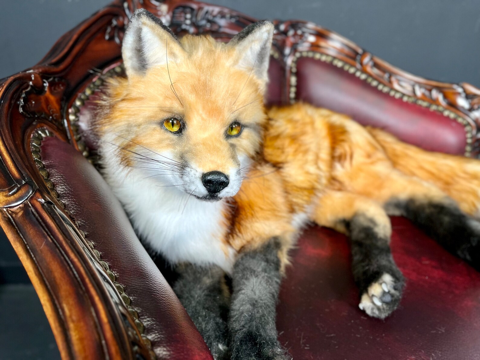 Fox Kitsune Poseable Art Doll Realistic Toy Life-size Animal Replica ...