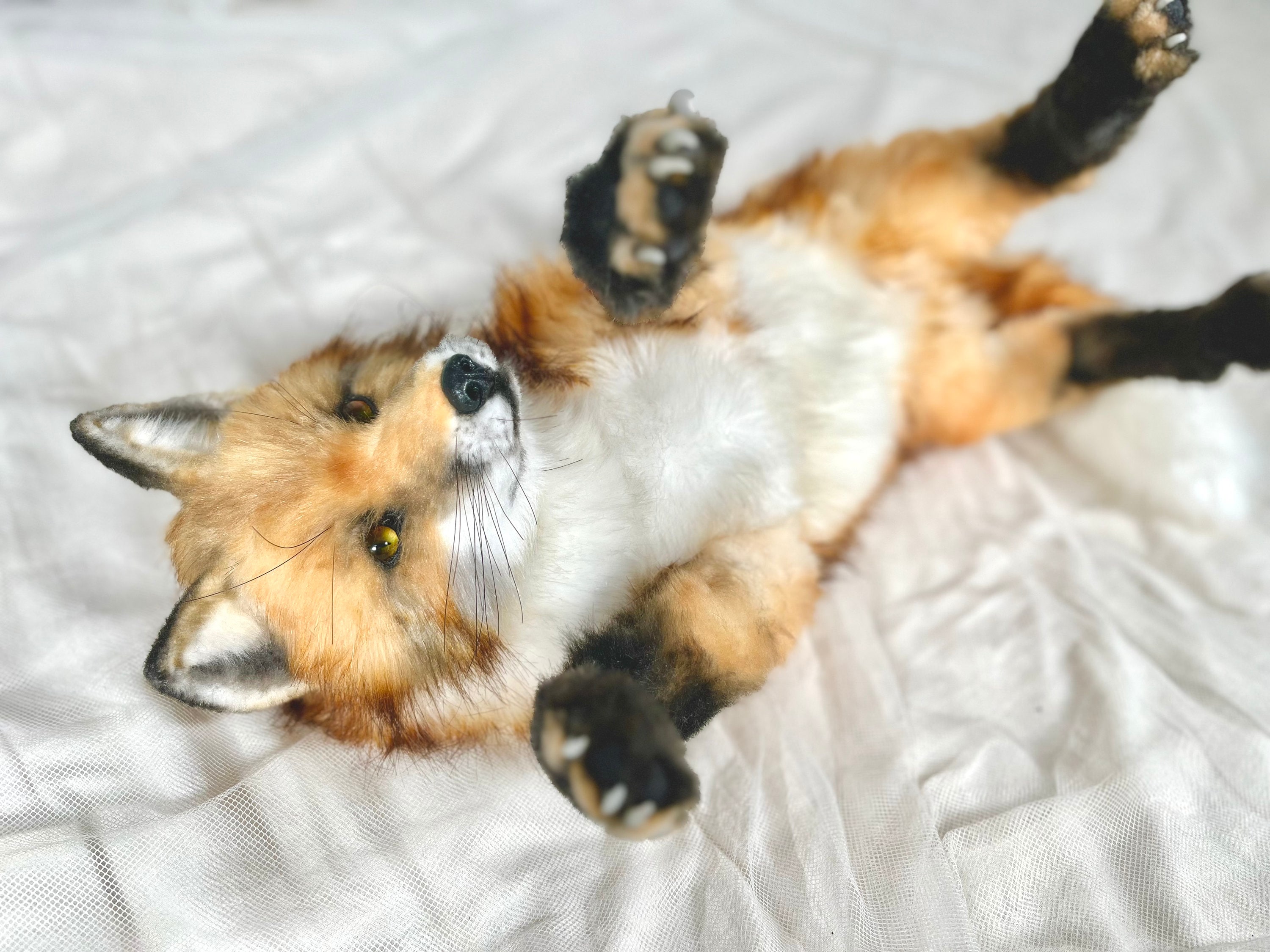 Fox Kitsune Poseable Art Doll Realistic Toy Life-size Animal Replica ...