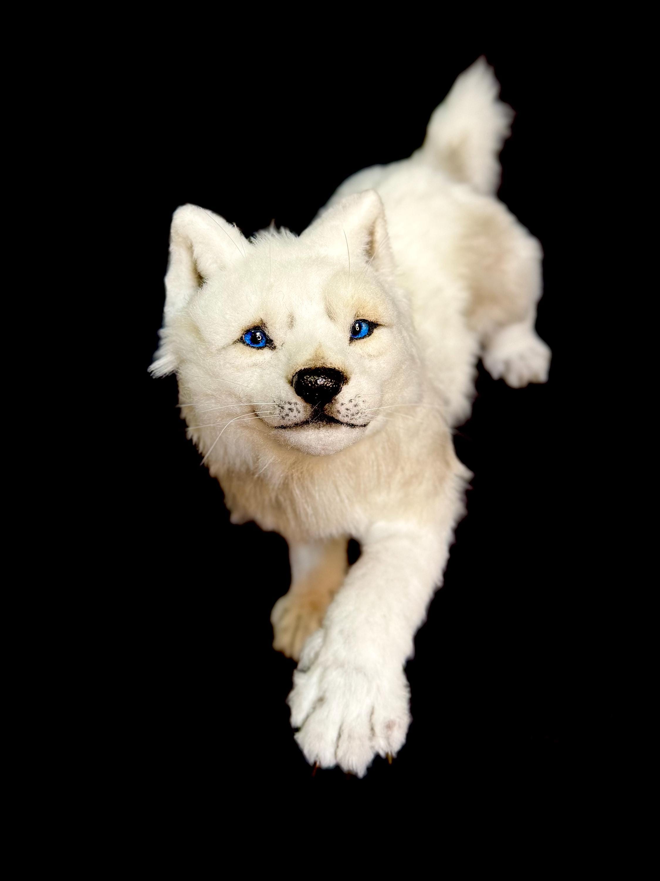 IN STOCK Arctic Wolf Cub Baby Poseable Art Doll Realistic Toy Miniature ...