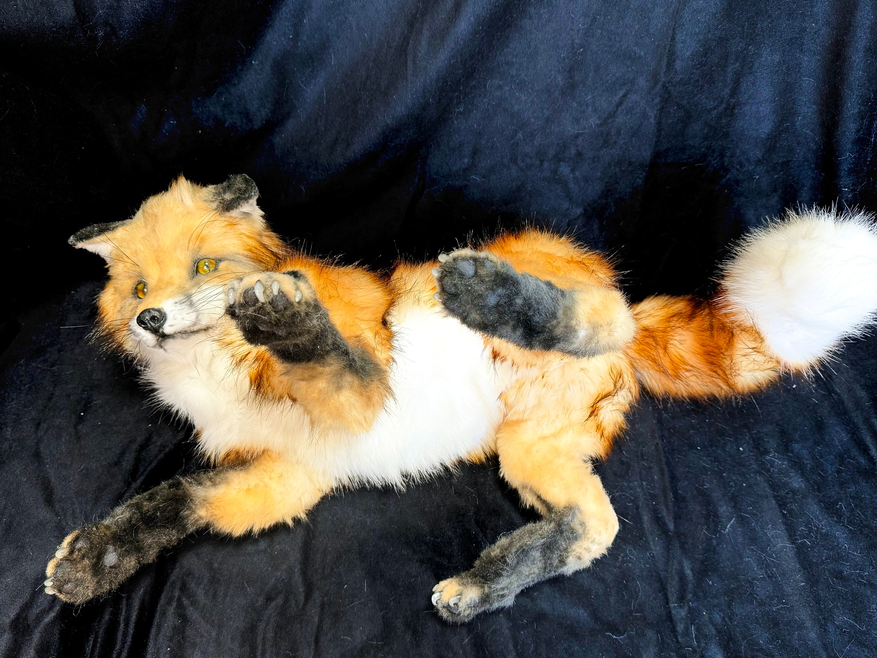 Fox Kitsune Poseable Art Doll Realistic Toy Life-size Animal Replica ...