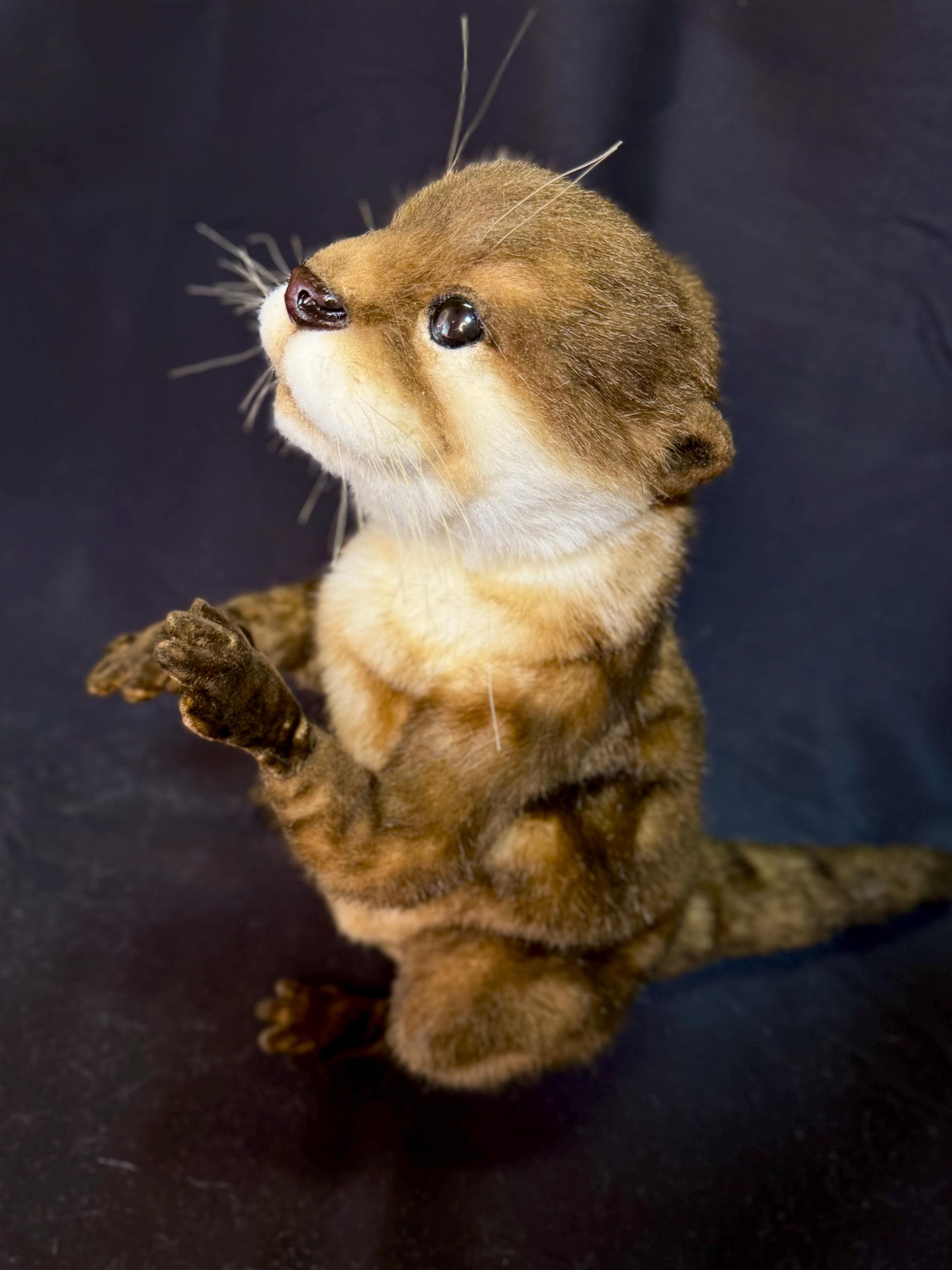 IN STOCK Otter Poseable Art Doll Realistic Toy Life-size Animal Replica ...