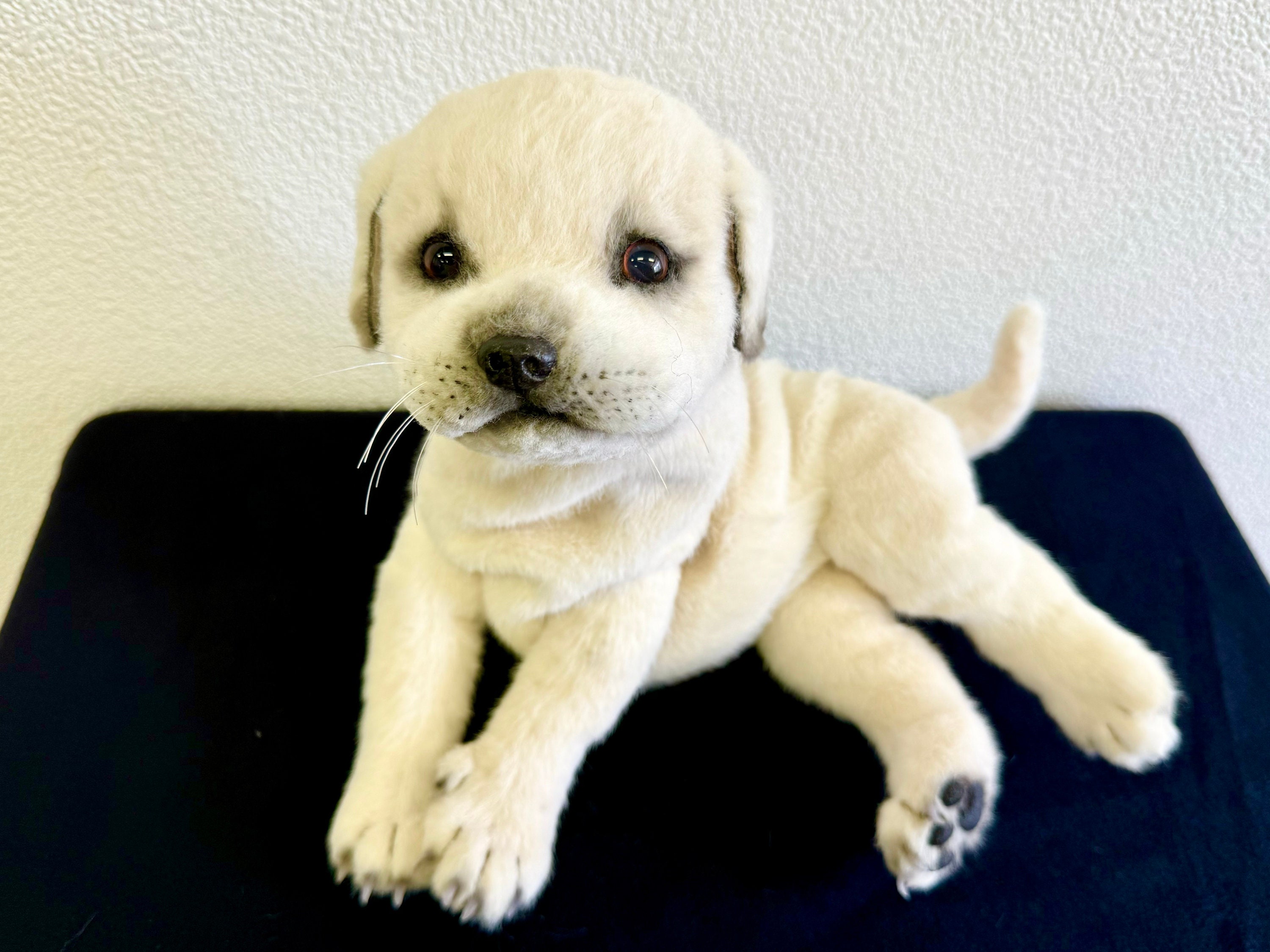 MADE TO ORDER Labrador Retriever Dog Puppy Baby Poseable Art Doll ...