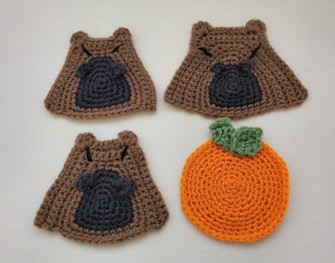 Capybara Coaster Set - Etsy