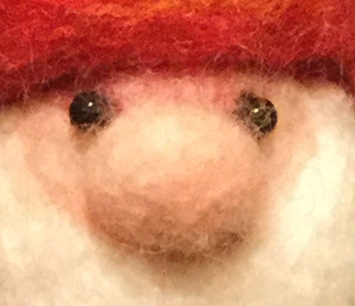 Basil the Good Luck Hand Felted Garden Gnome - Etsy