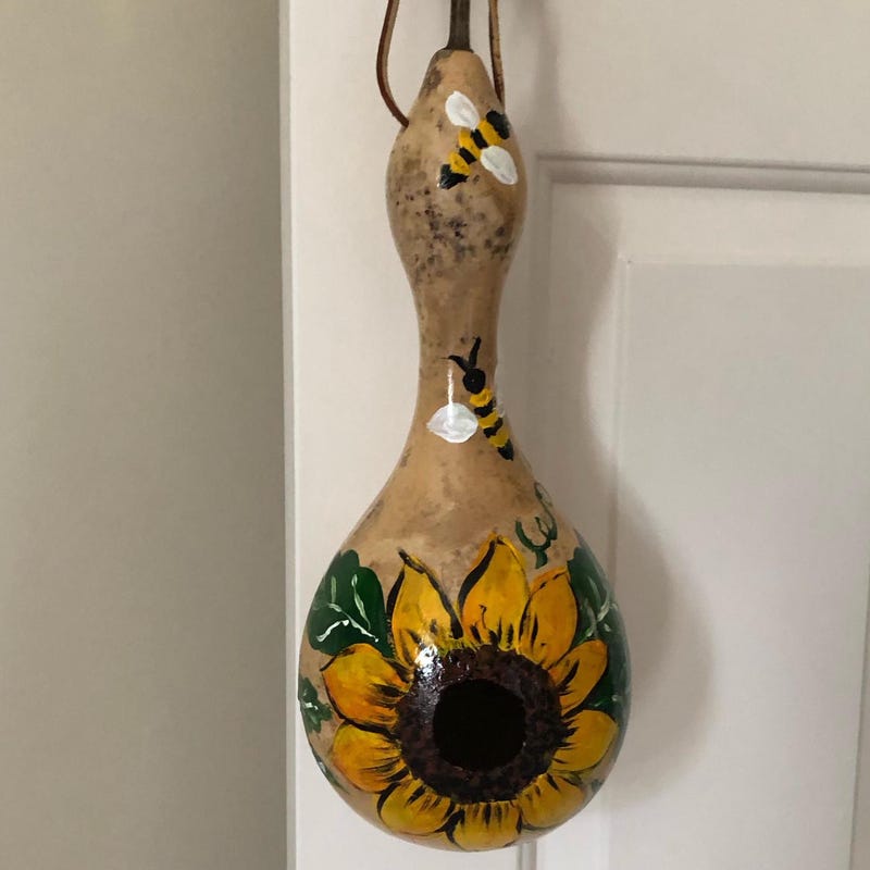 Painted Cat Gourds - Etsy