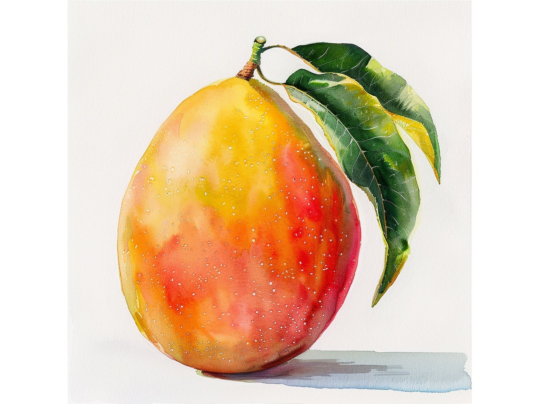 Mango PNG Mango Digital Downloadable Mango Fruit Clip Art - Etsy