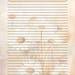 White Daisies Lined Notes Page Printable Beautiful Graphics Images ...