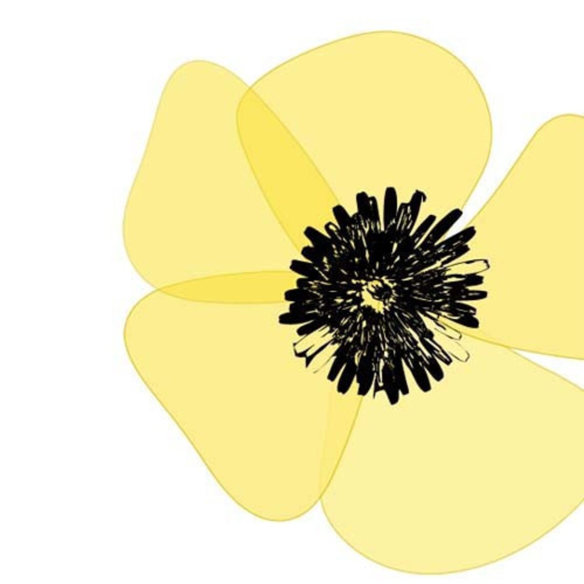 Yellow Poppy Flower Fine Art Print Summer Flower Poppy - Etsy