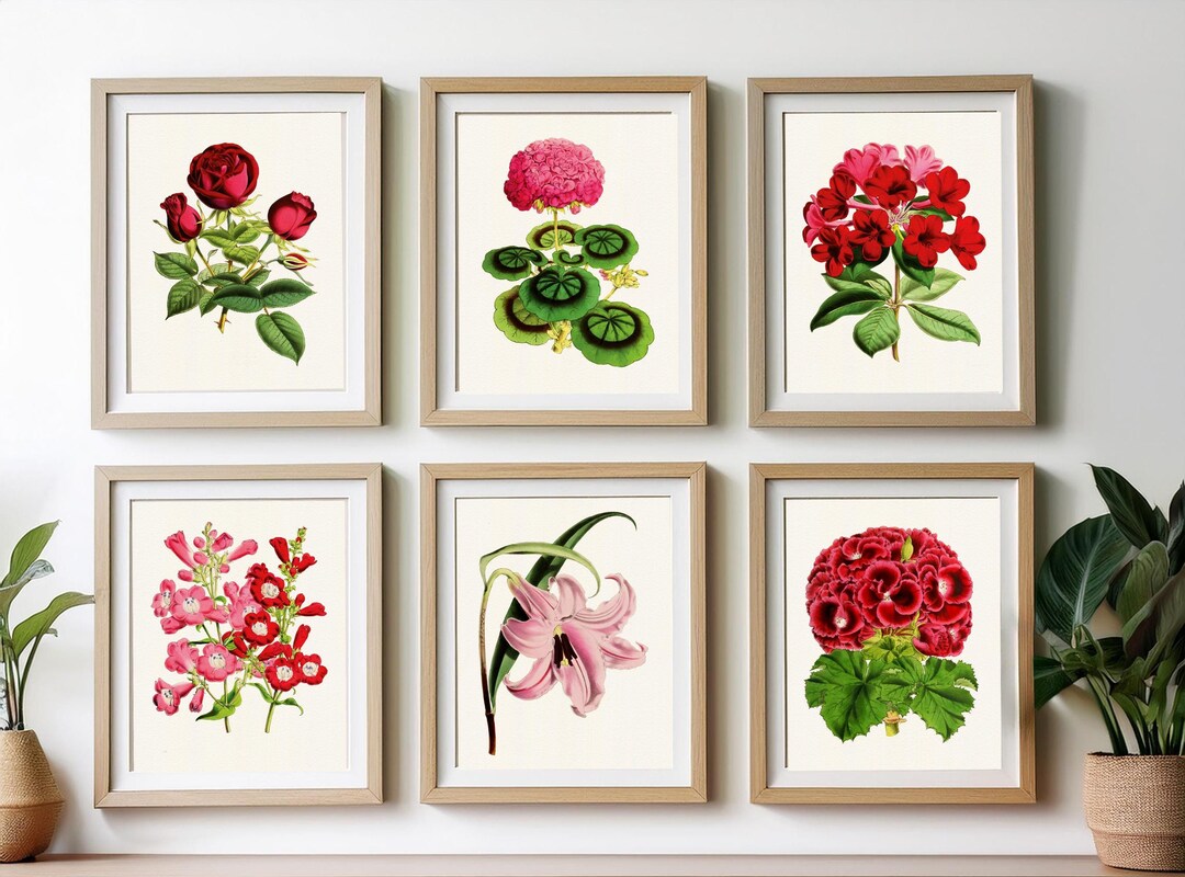 6 Vintage Flower Art Prints Pink Flower Print, Botanical Print ...